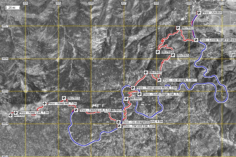 McGill Bike Ride on Mt Pinos